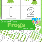 Flash Cards – Miniature Masterminds
