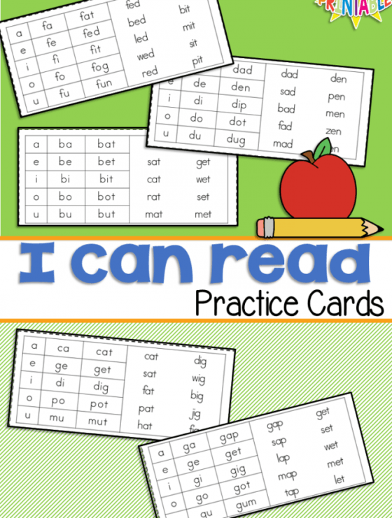 First Grade – Miniature Masterminds
