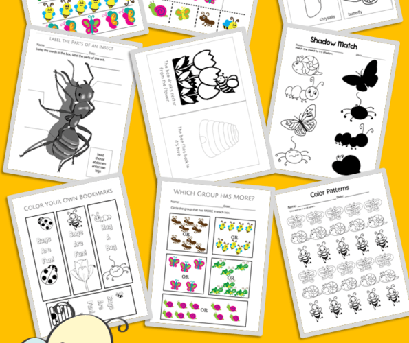 Free "Bugs Are Fun" Bug Printable Unit – 24 Pages of Activities ...