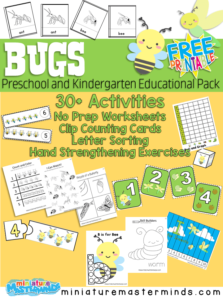 Rainbow Sight Words File Folder Flash Cards For Kindergarten Free ...